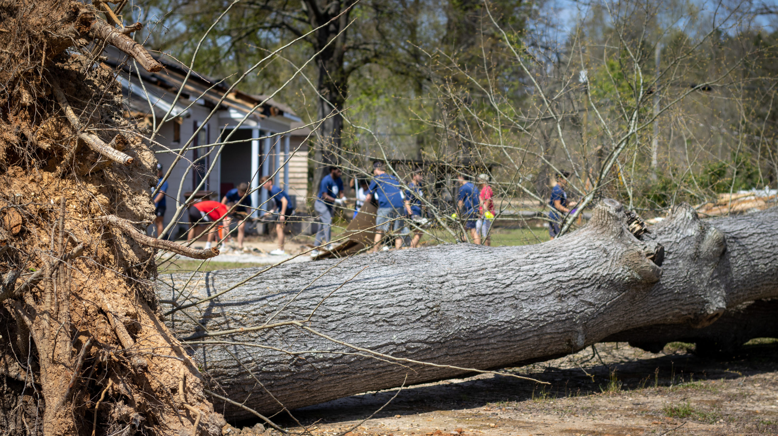 Disaster Services - Volunteer Mississippi